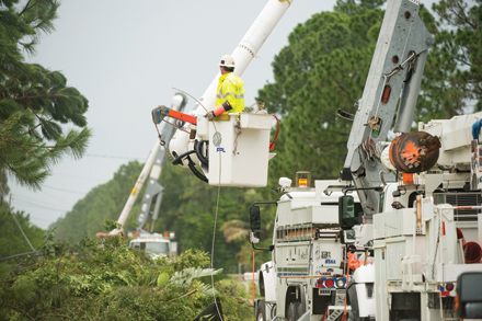Reliability Vs. Vegetation - Electricity Today