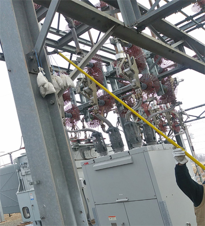 Critter Guard Introduction - Electricity Today